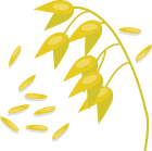 Oat - Nurenza Neuropathy Nerve Pain Relief Supplement : Nurenza ...